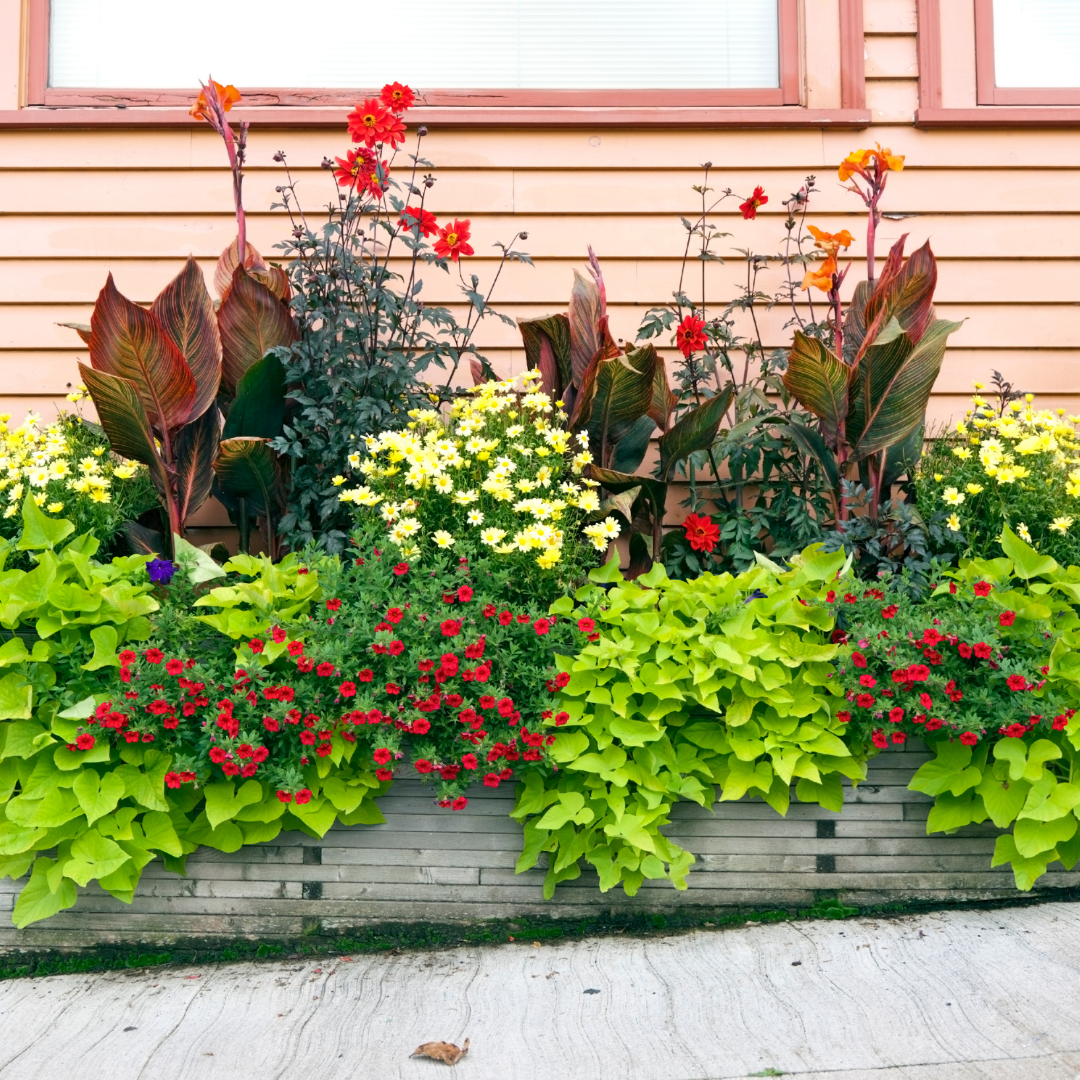 DIY Guide: Creating a Beautiful Annual Planter – Oceanview Home and Garden